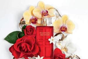 Red Door Perfume Guide: Will You Love It? - Scent Chasers