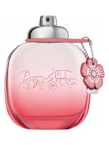 Coach Perfume Guide: Which Is The Perfect Scent For You? - Scent Chasers
